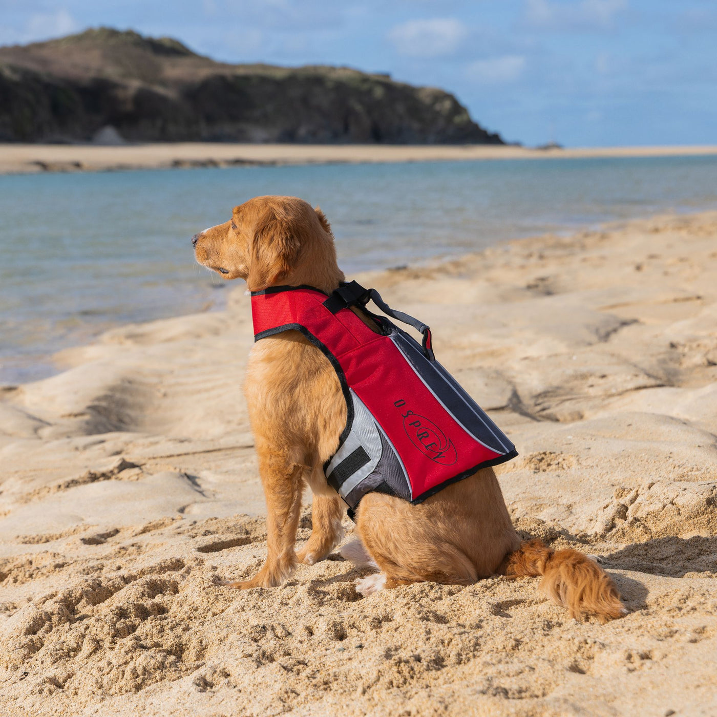 Dog Life Jacket – Secure & Comfortable Vest | Osprey